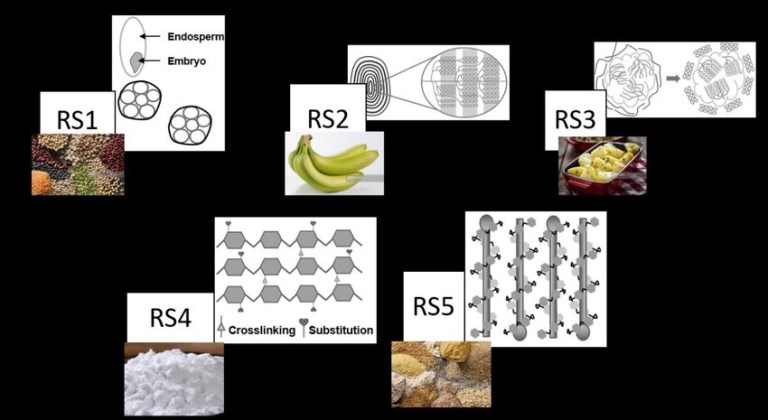 10 Essential Insights on Resistant Starch and Managing Blood Sugar ...